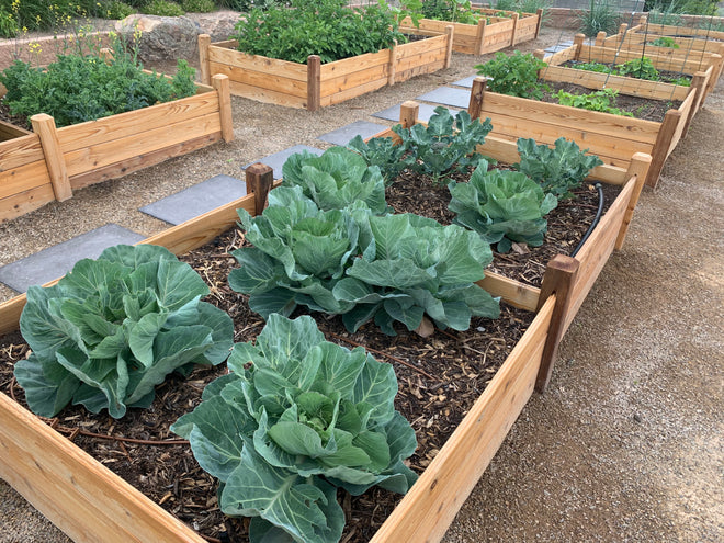 What is Healthy Soil? – Soilutions