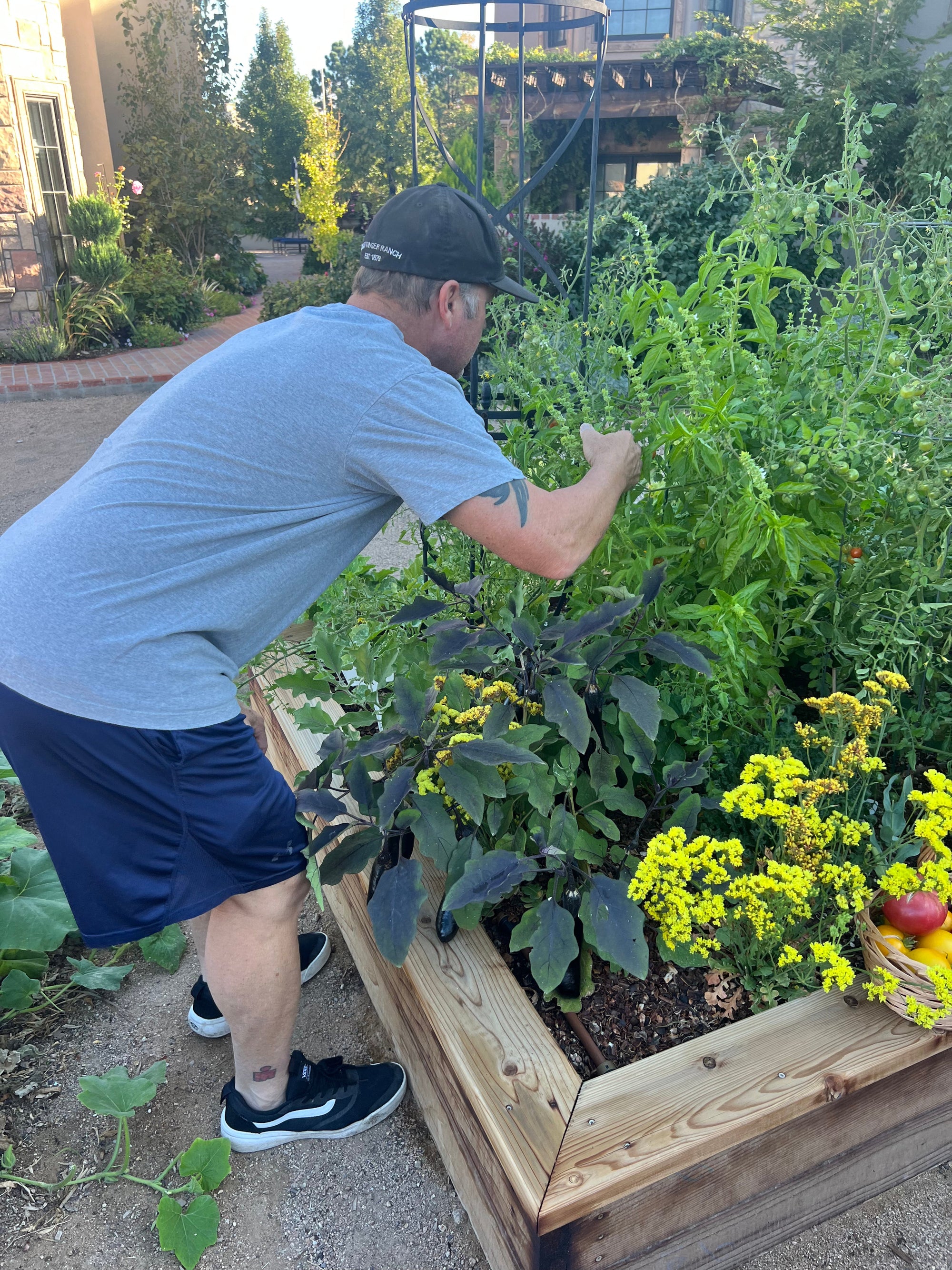 PREMIUM GARDEN SOIL - PICK-UP – Soilutions