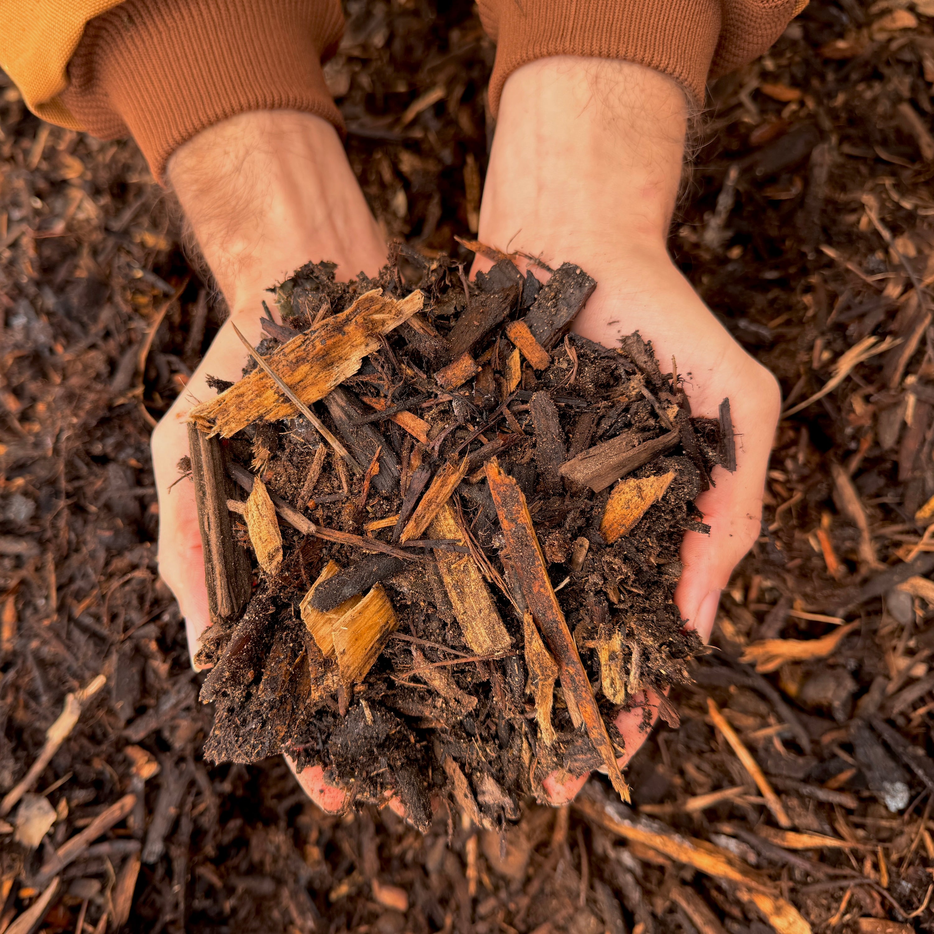 FOREST FLOOR MULCH - DELIVERED – Soilutions